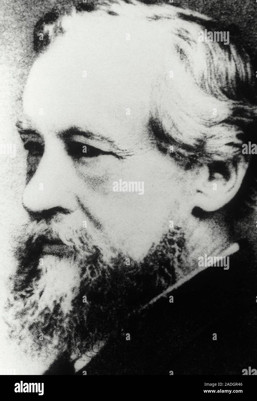 Portrait of Hugo de Vries (1848-1935), Dutch plant physiologist and ...