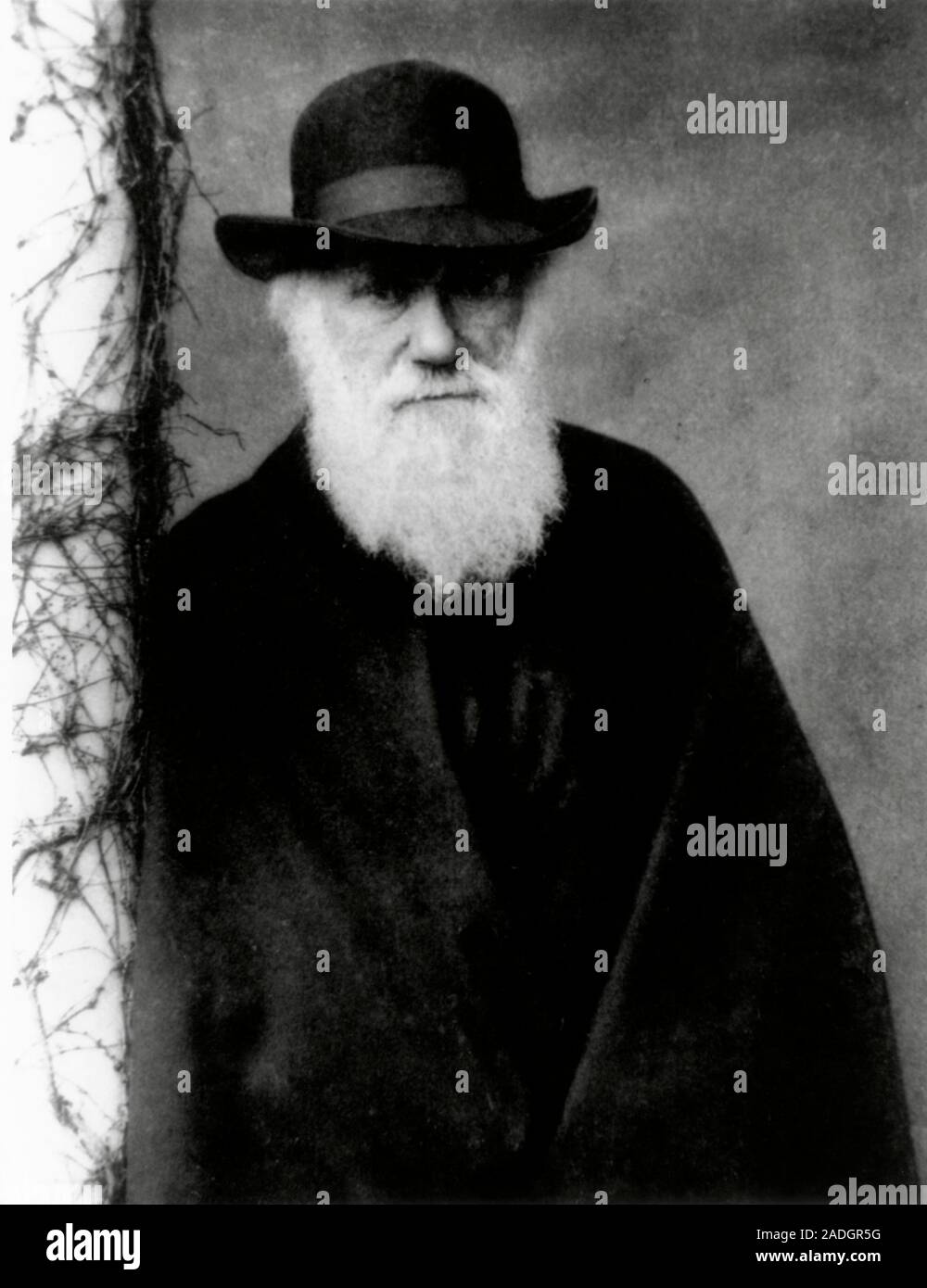 Charles Darwin. Photograph of English naturalist Charles Robert Darwin ...