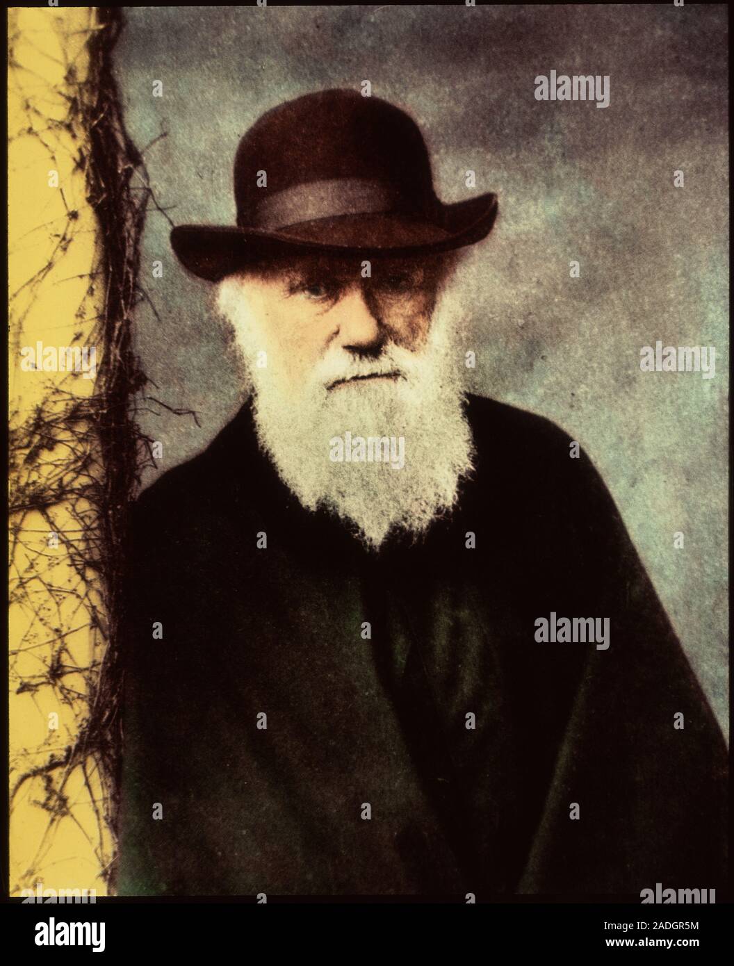 Portrait of Charles Robert Darwin (1809-1882) English naturalist and ...