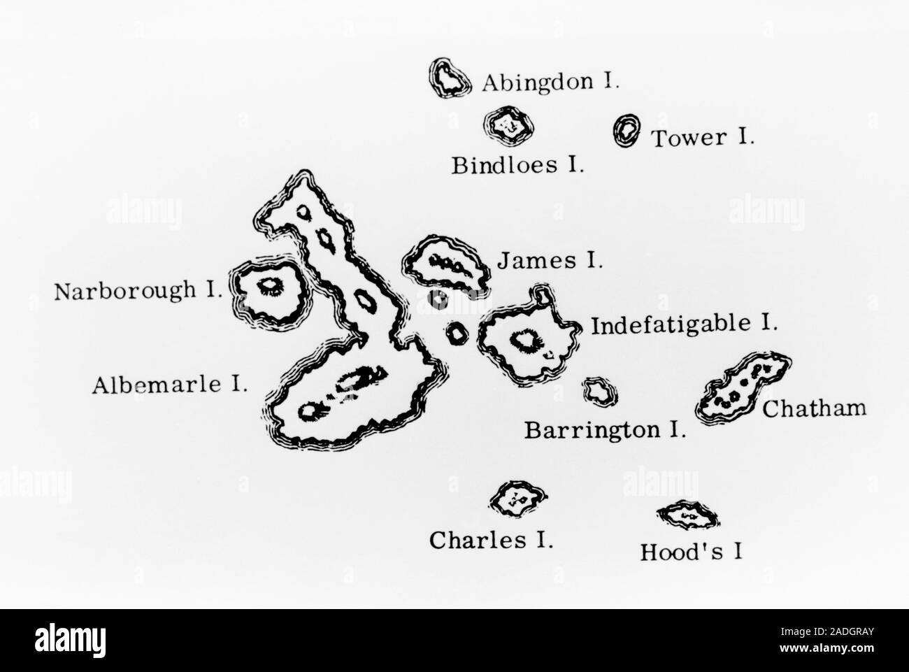 Galapagos islands. Historical artwork of the galapagos archipelago ...