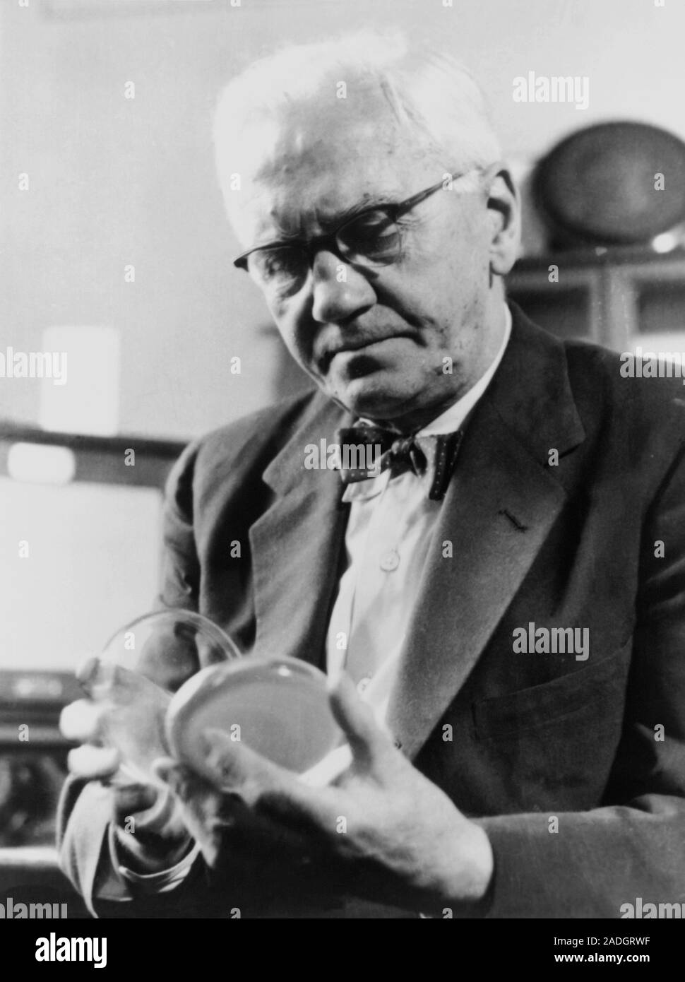 Sir Alexander Fleming, Scottish bacteriologist, born August 6th 1881 ...