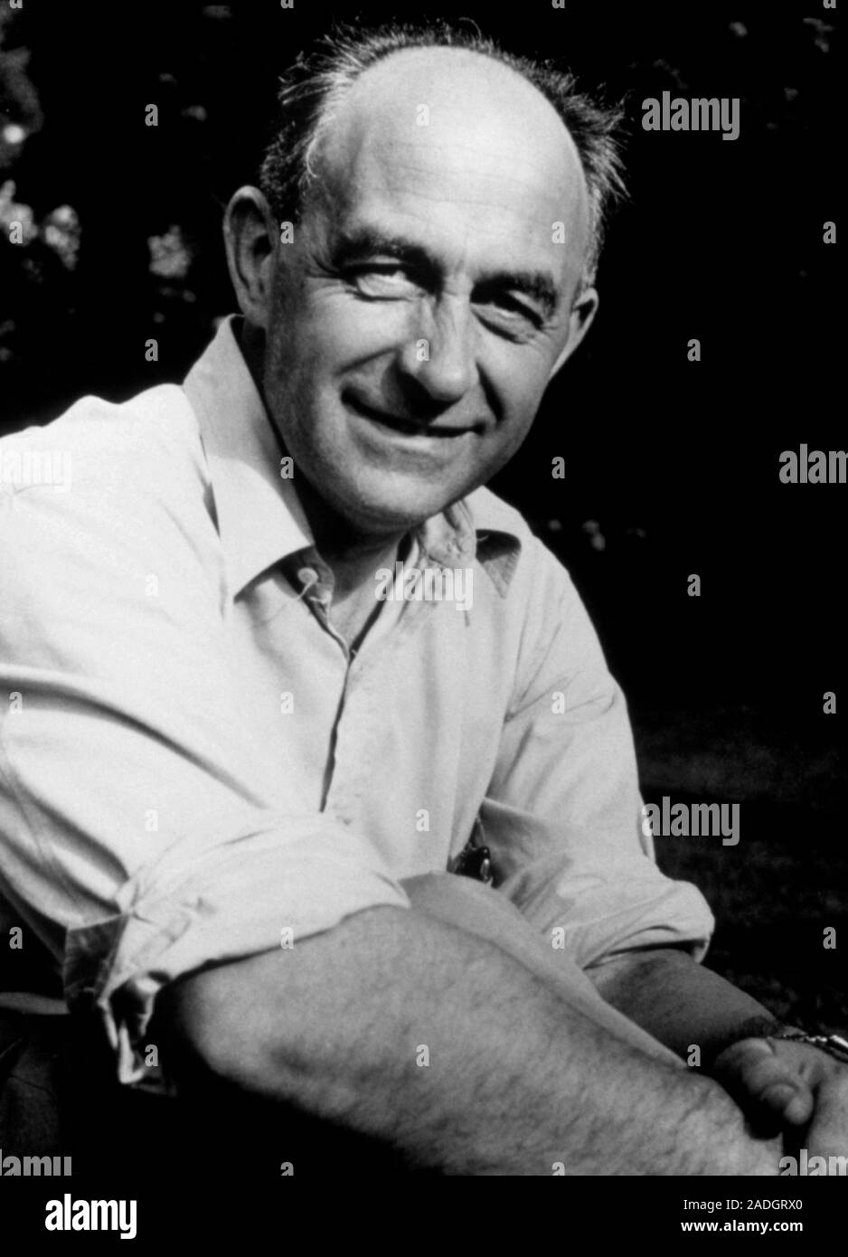 Portrait of Enrico Fermi (1901-1954) the Italian-American physicist who ...