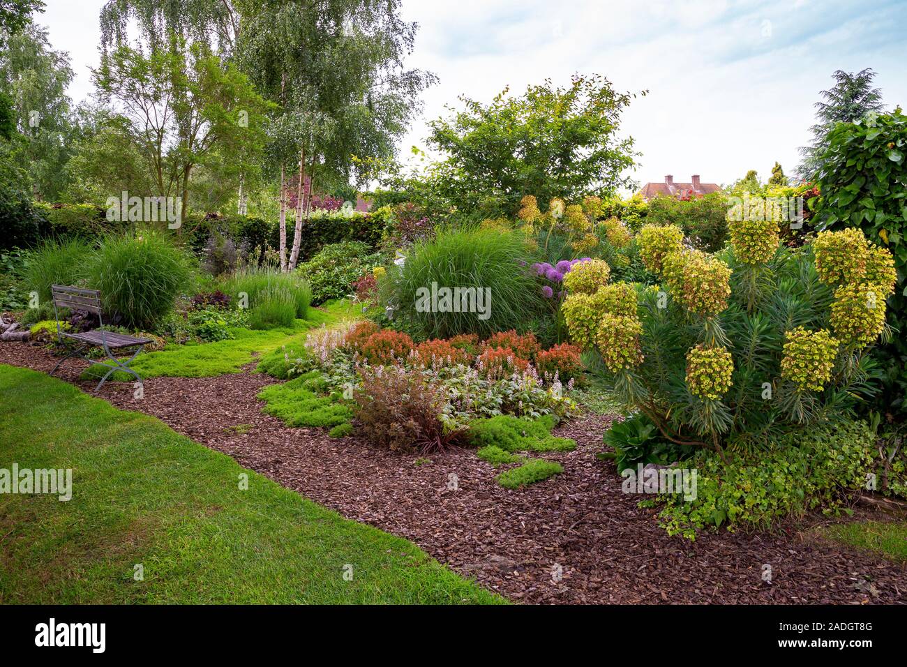 A bark path leading through woodland style herbaceous borders ...