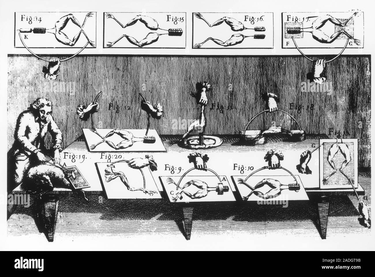 Illustration showing the various experiments conducted by Italian ...