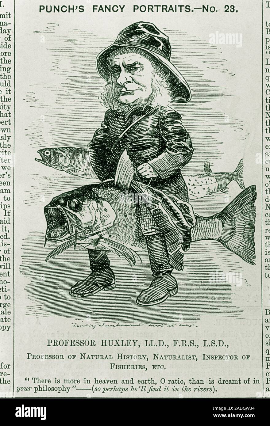 Thomas Huxley. Caricature of Thomas Henry Huxley (1825-95), British ...