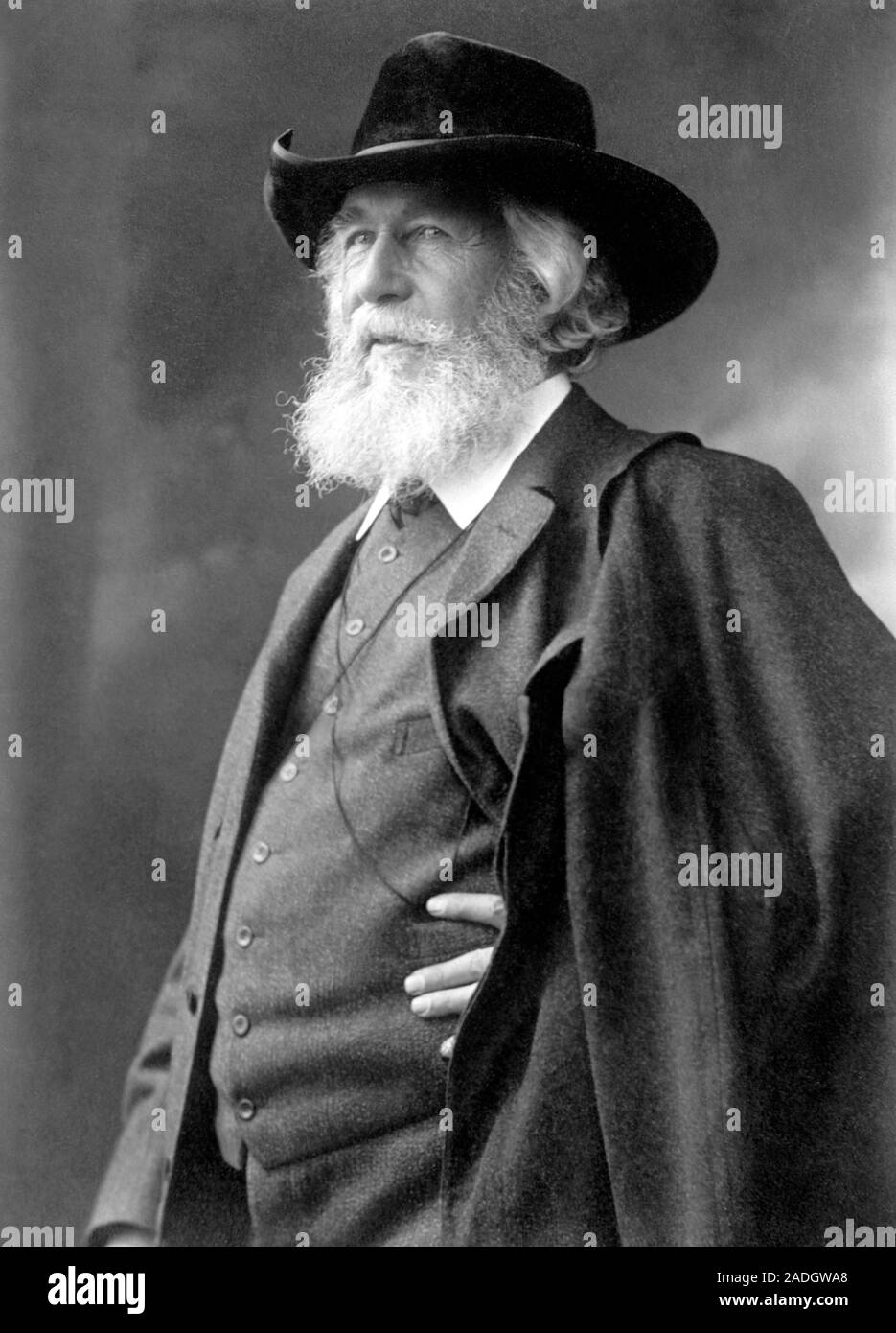Ernst Heinrich Haeckel (1834-1919), German biologist and Darwinist ...