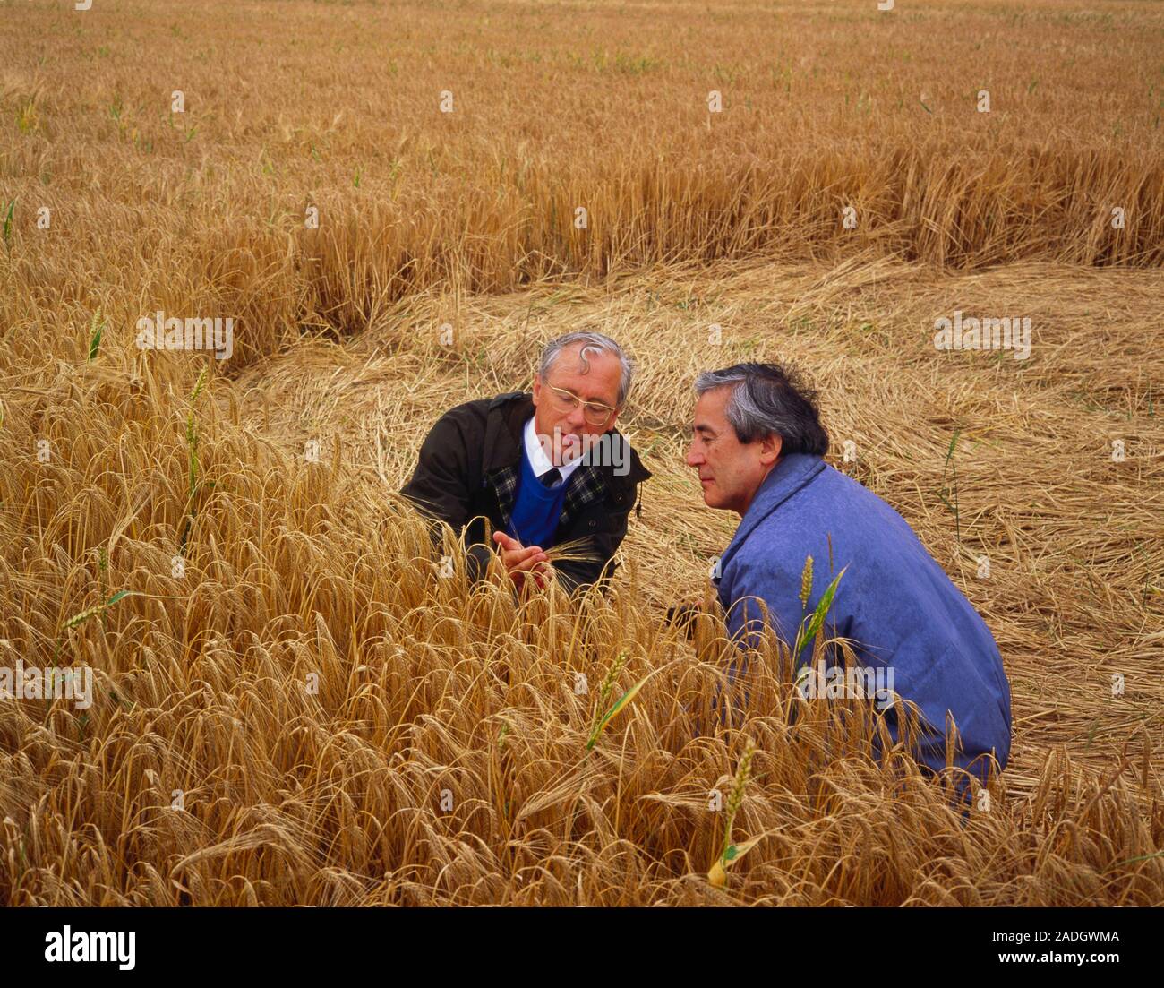 Prof. Hiroshi Kikuchi (right) and Dr Terence Meaden (left). Kikuchi is ...