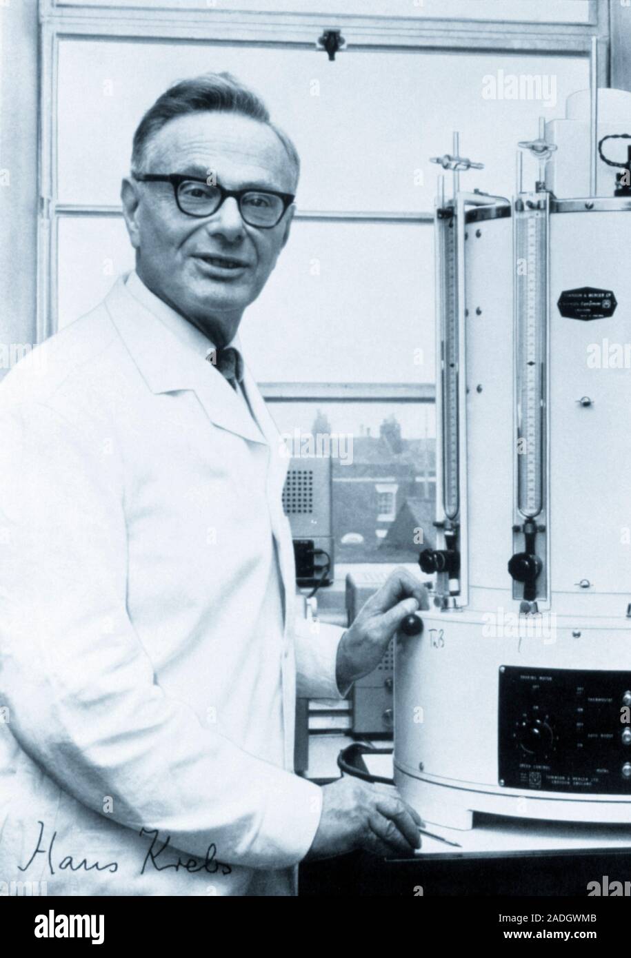 Portrait of Sir Hans Krebs (1900-81), German-British biochemist and ...