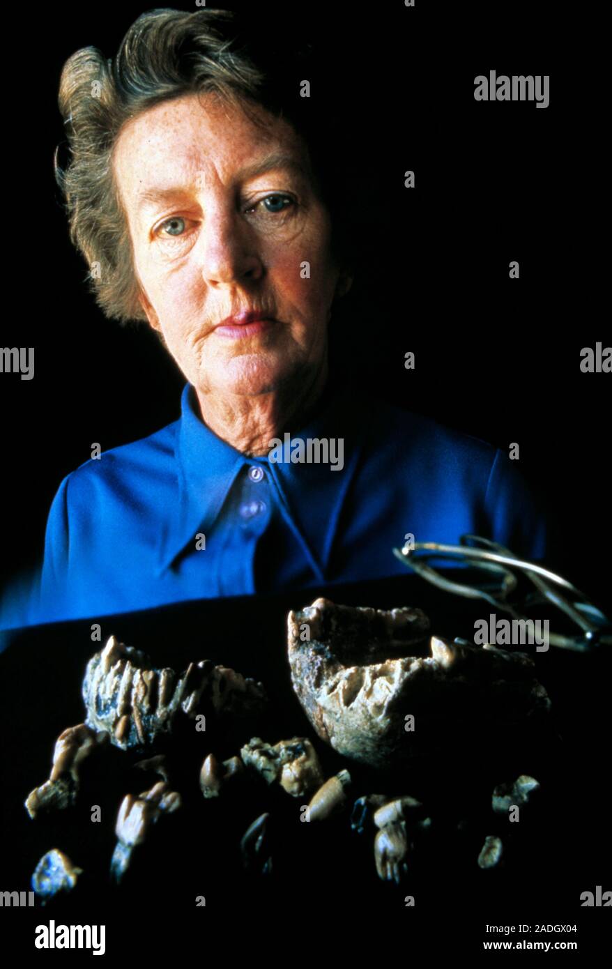 Mary Leakey (1913-1996), palaeoanthropologist, seen here with some of ...