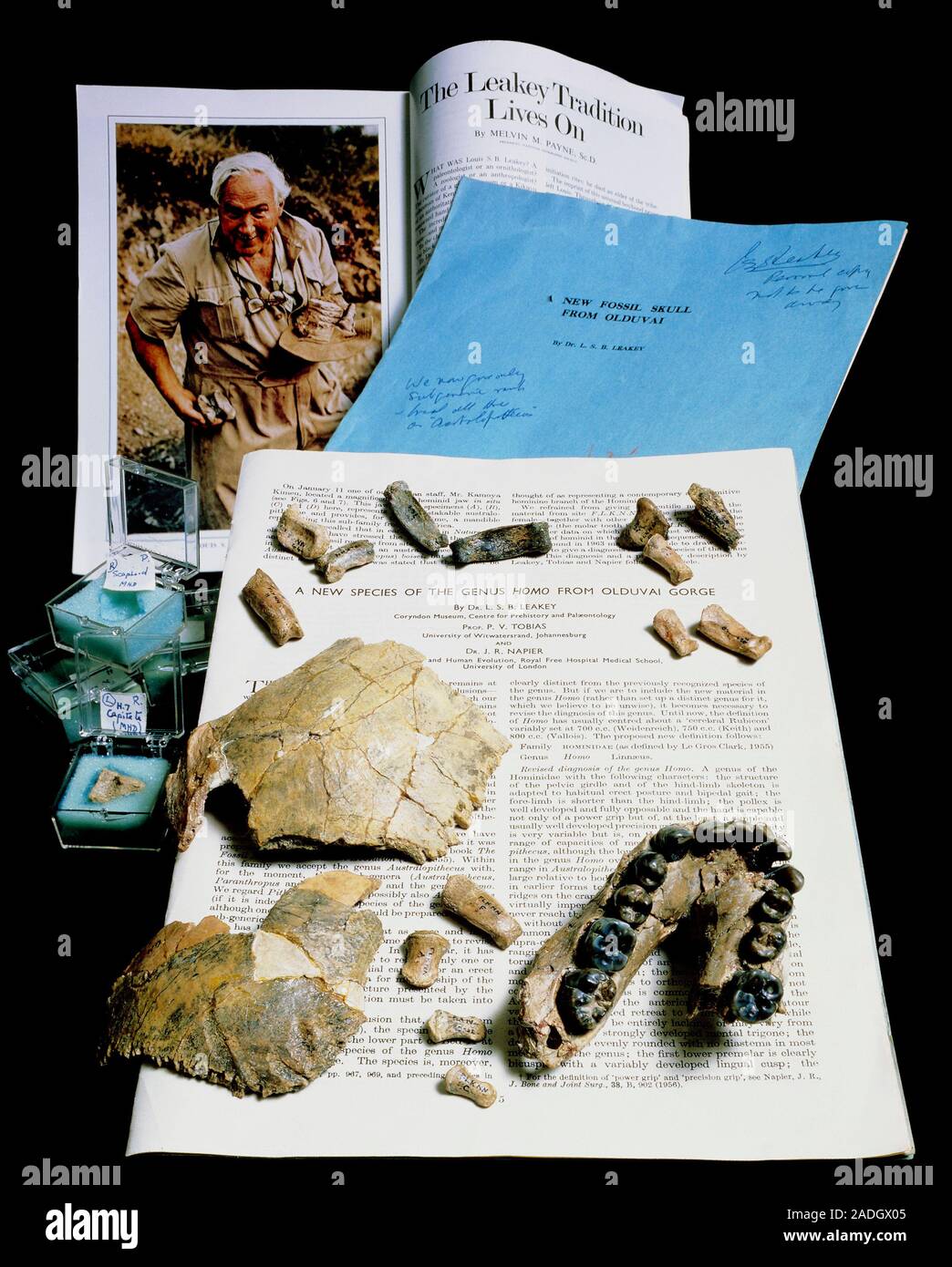 Composite photograph of palaeoanthropologist Louis Leakey (1903-1972 ...