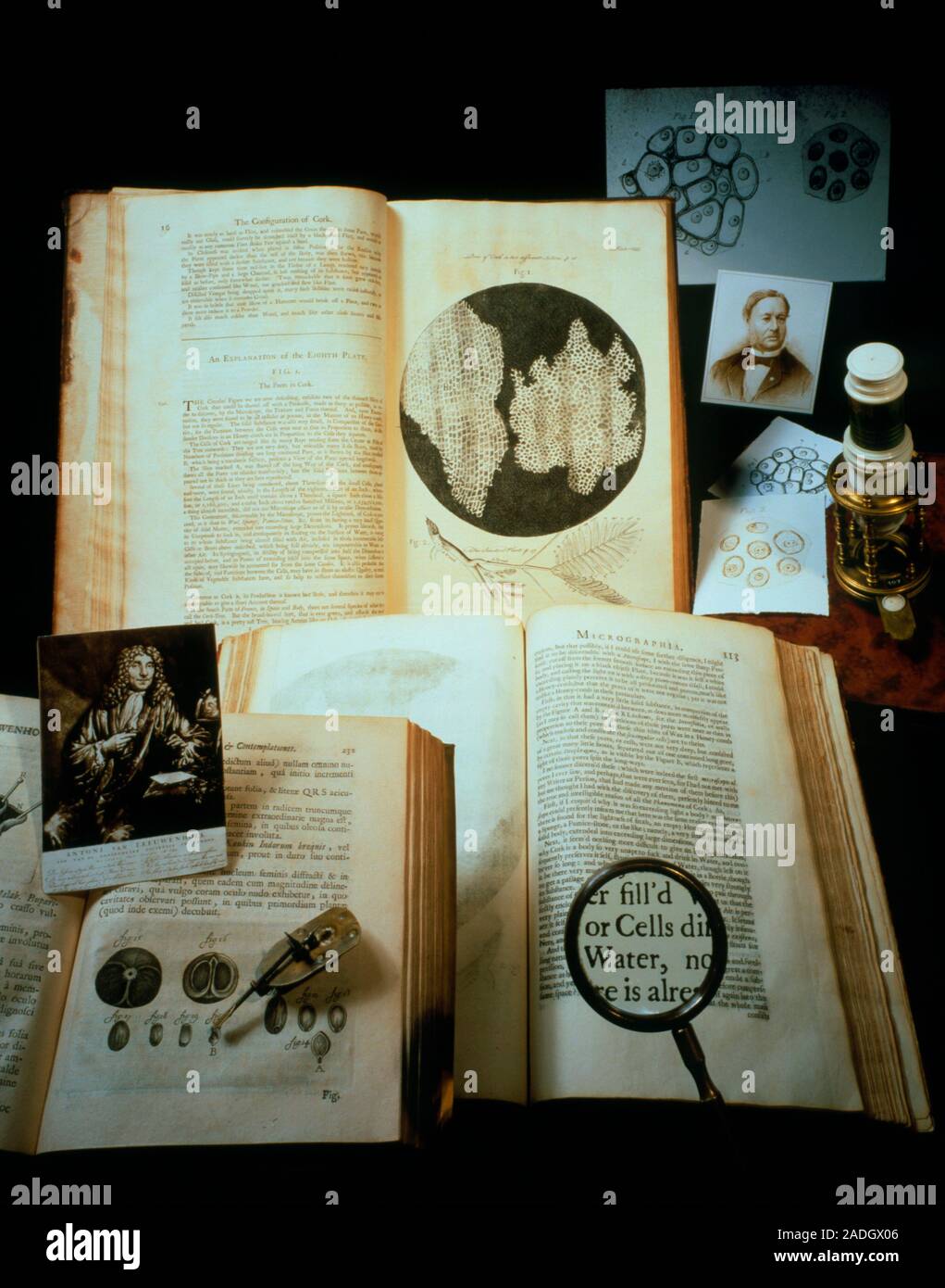 Composite photograph illustrating three major figures in the world of ...