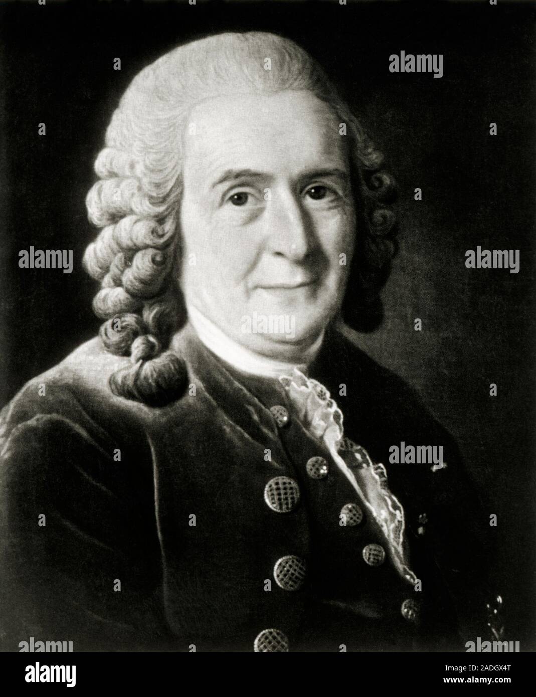 Carl Linnaeus. Portrait of the Swedish botanist, Carl Linnaeus (1707 ...