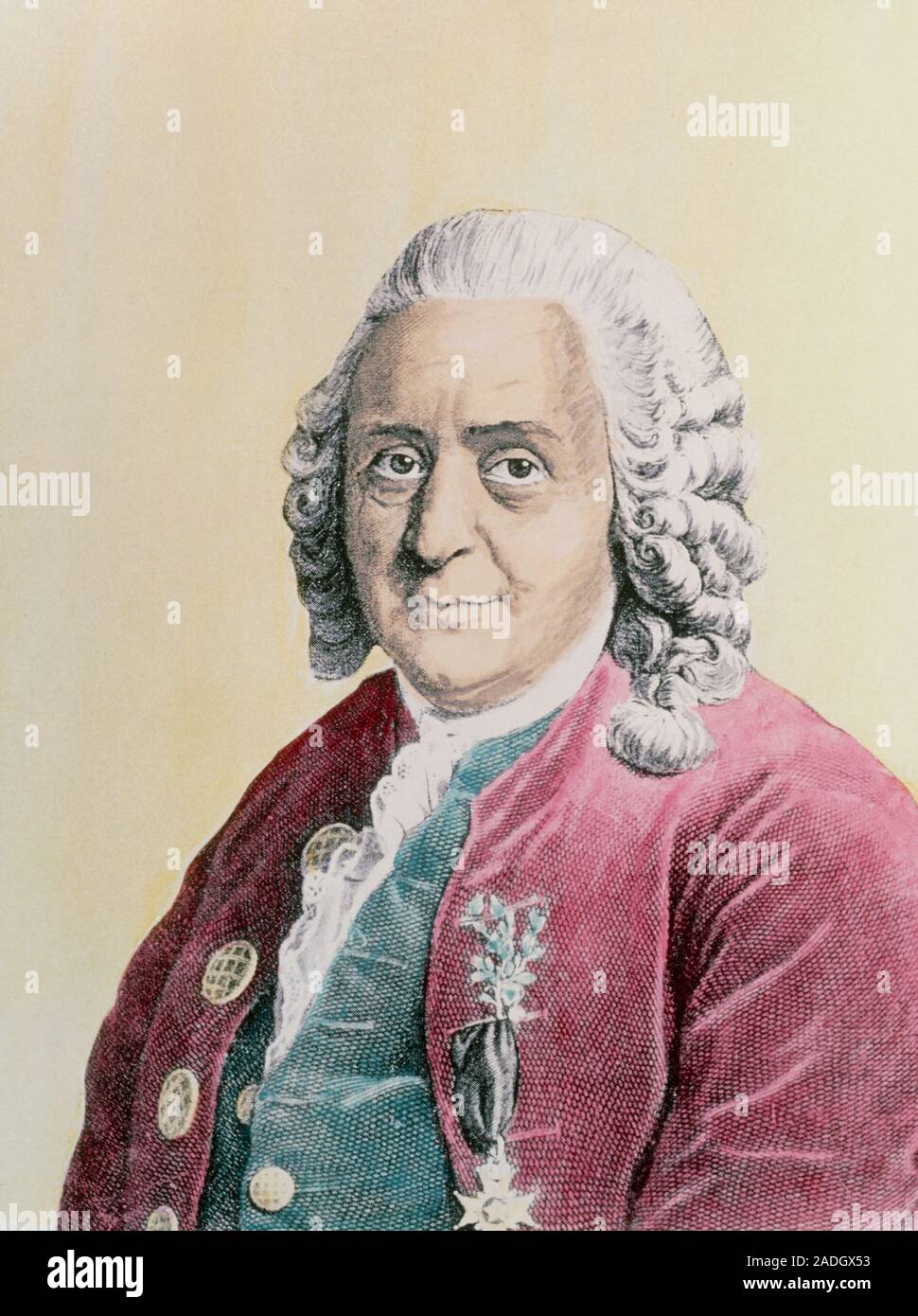 Carl Linnaeus (1707-1778), Swedish botanist and taxonomist. Linnaeus ...