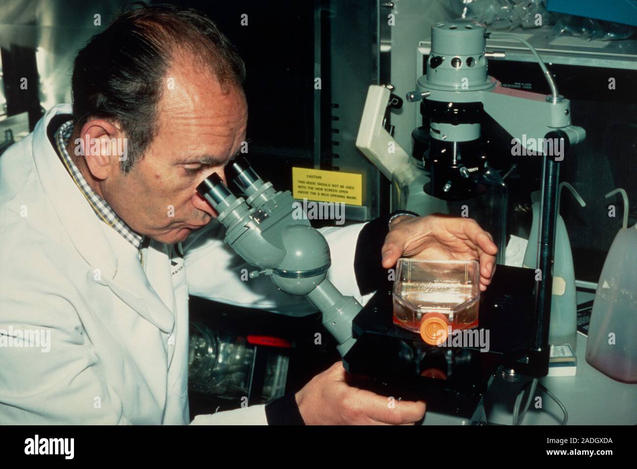 Cesar Milstein, molecular biologist and pioneer of fusion technique for ...