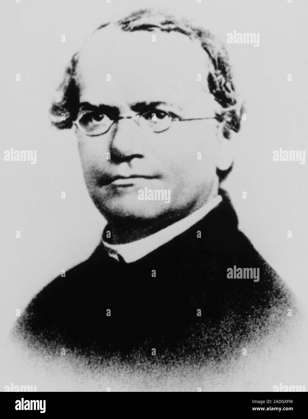 Gregor Mendel (1822-1884), Austrian botanist who discovered the basic ...