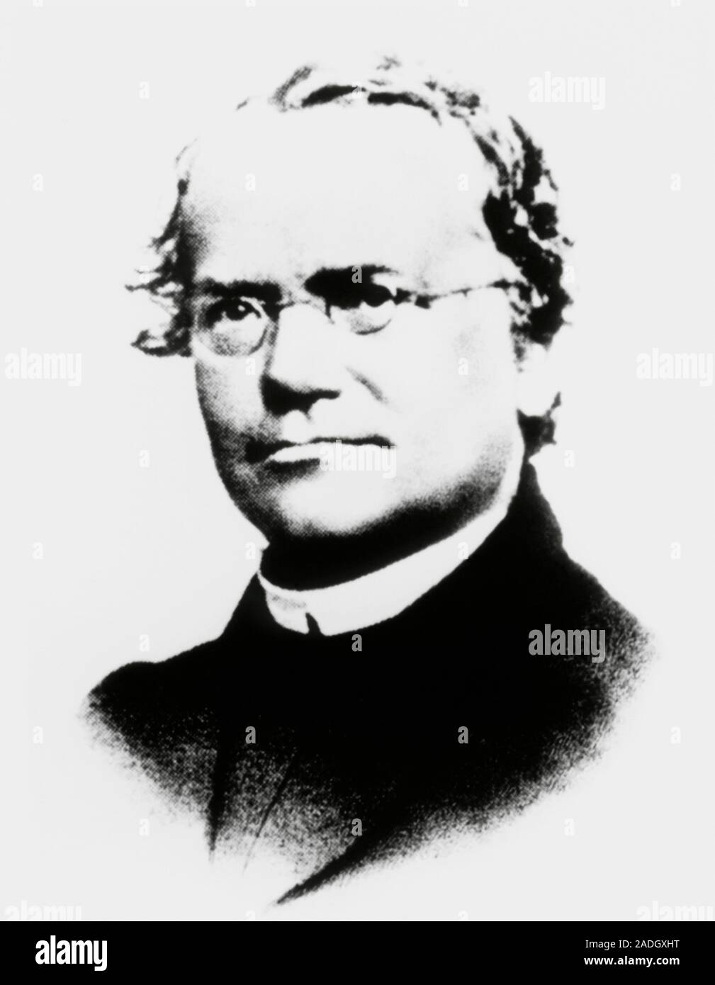 Gregor Mendel. Portrait of Gregor Johann Mendel (1822-1884), Austrian ...