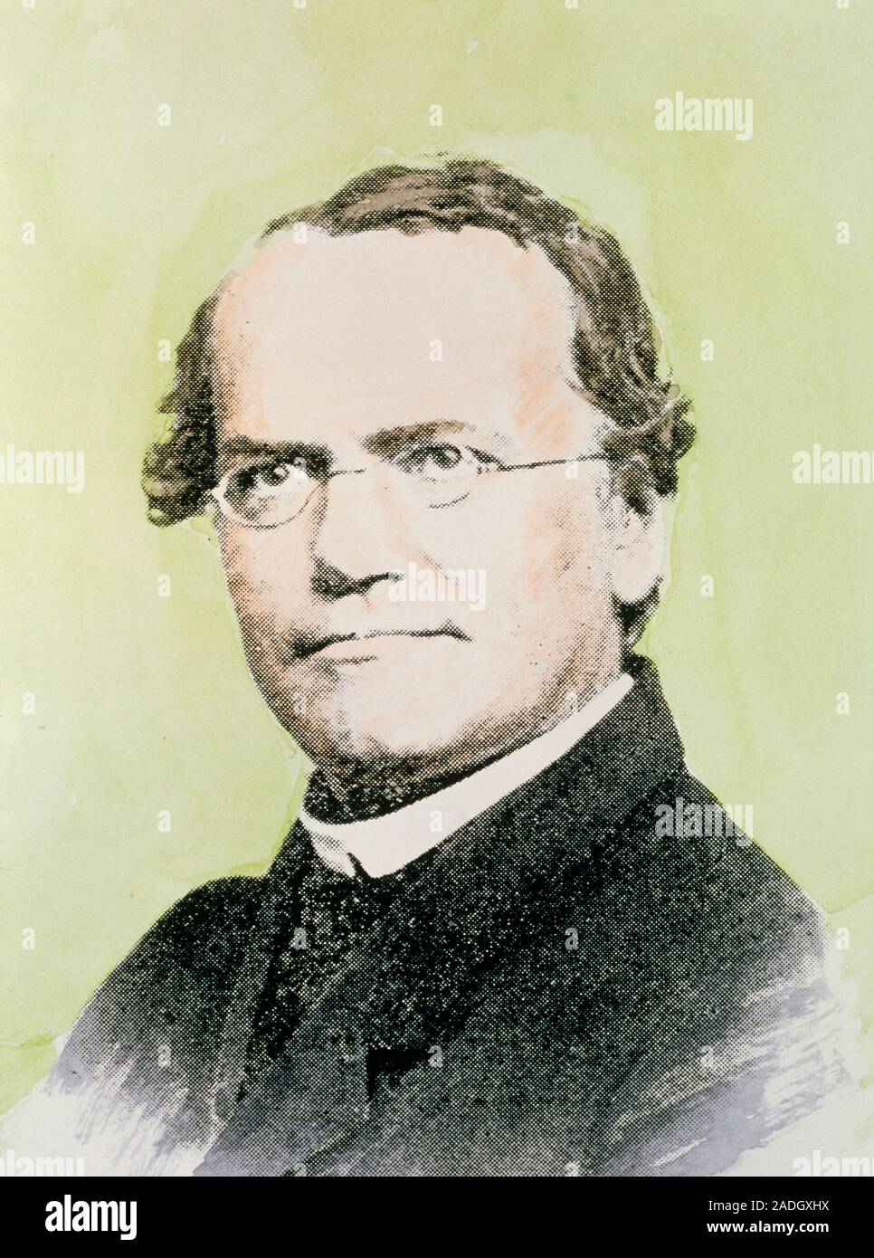 Gregor Mendel. Portrait of Gregor Johann Mendel (1822-1884), Austrian ...