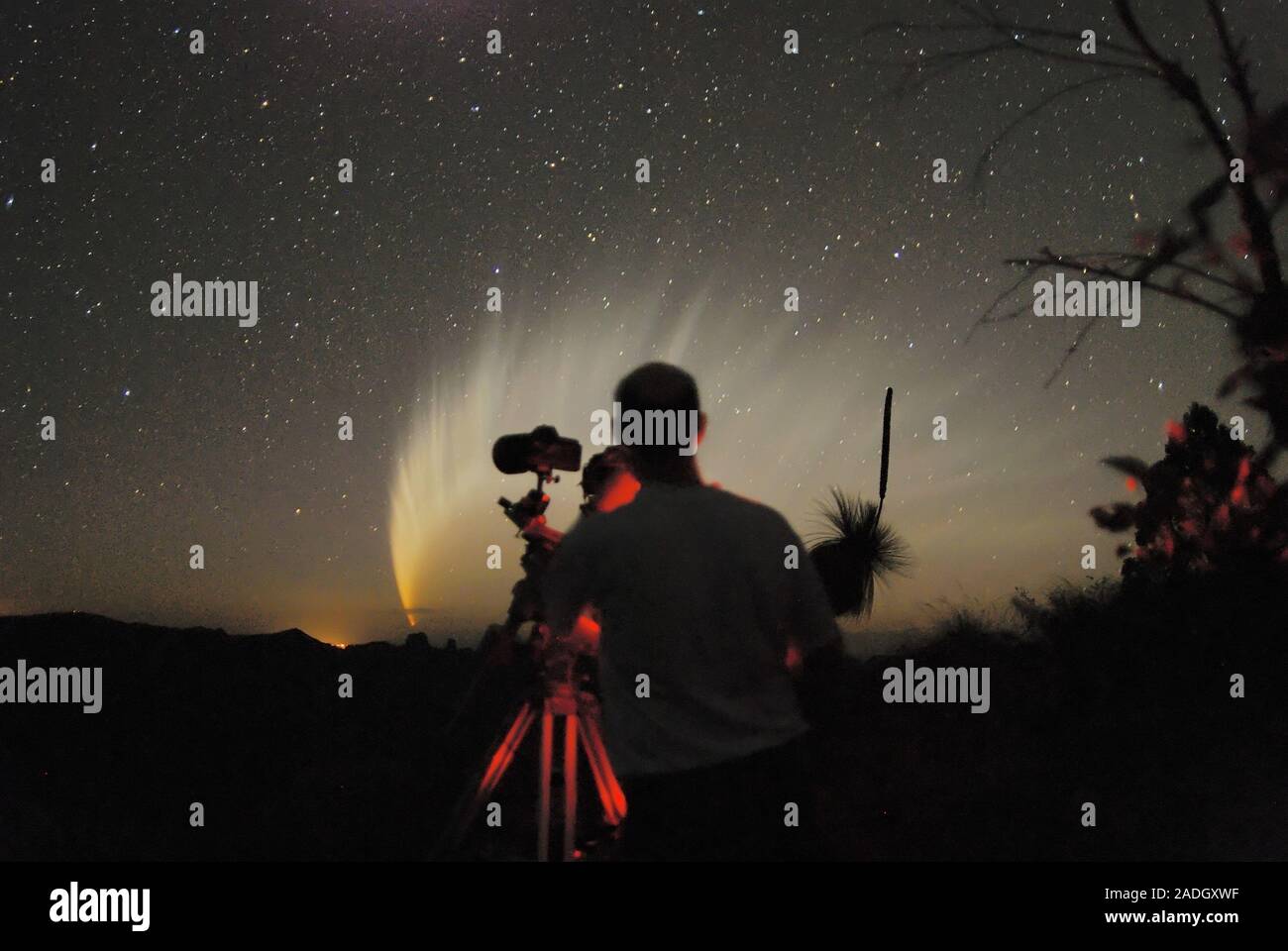 Not for retail poster use Rob McNaught (born 1956). Silhouette of the ...