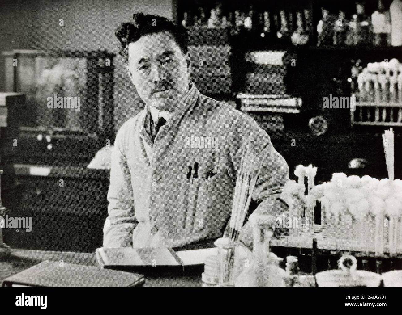 Hideyo Noguchi. Portrait of Seisako Hideyo Noguchi (1876-1928 ...