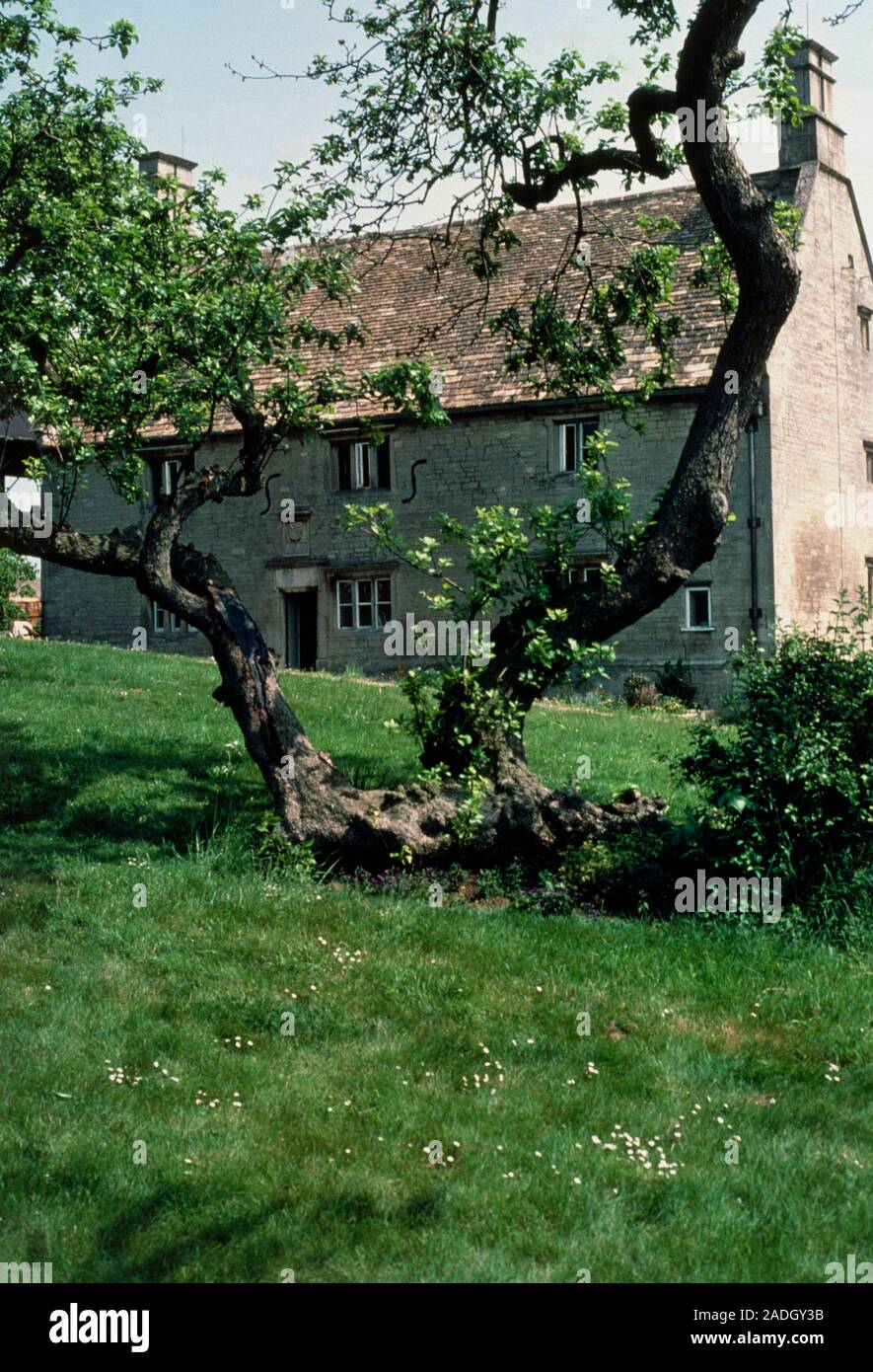 Woolsthorpe Manor, birthplace of the English mathematician and ...