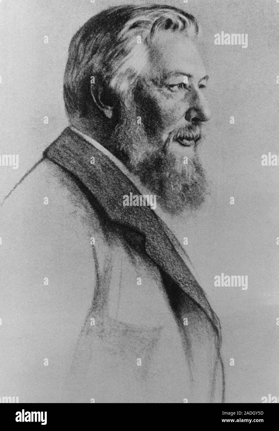 Pencil drawing of Wilhelm Ostwald (1853-1933), German physical chemist ...
