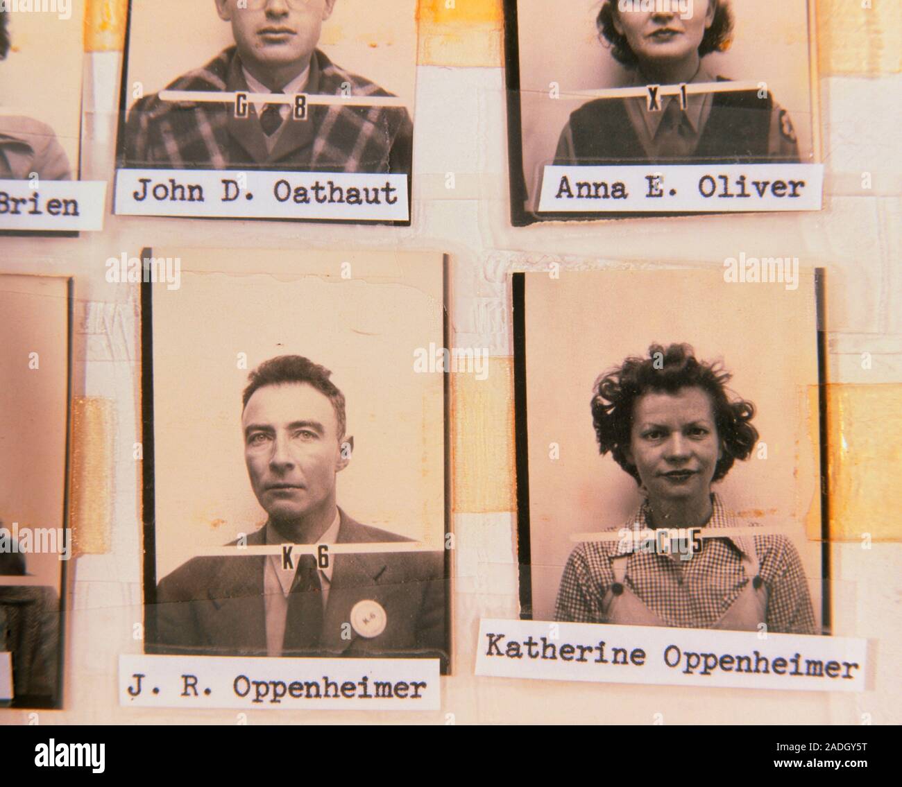 Identity photos of J. Robert Oppenheimer and his wife Katherine (Kitty ...
