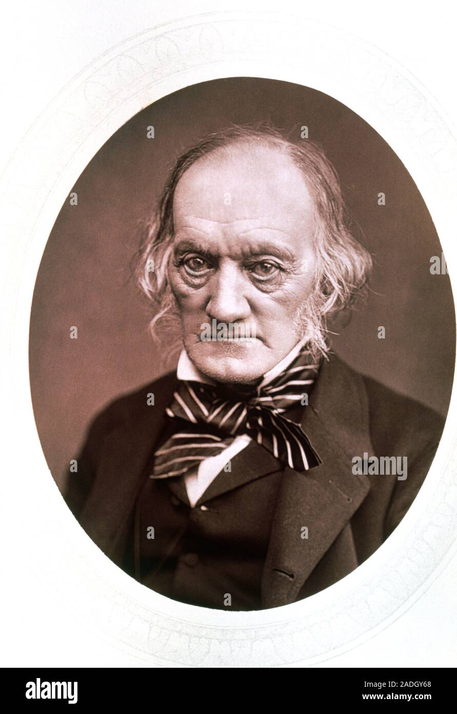 Richard Owen. Portrait of the British palaeontologist Sir Richard Owen ...