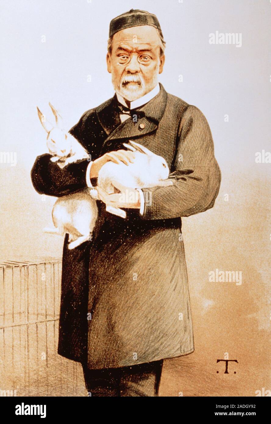 The French chemist and microbiologist Louis Pasteur (1822-1895). He is ...