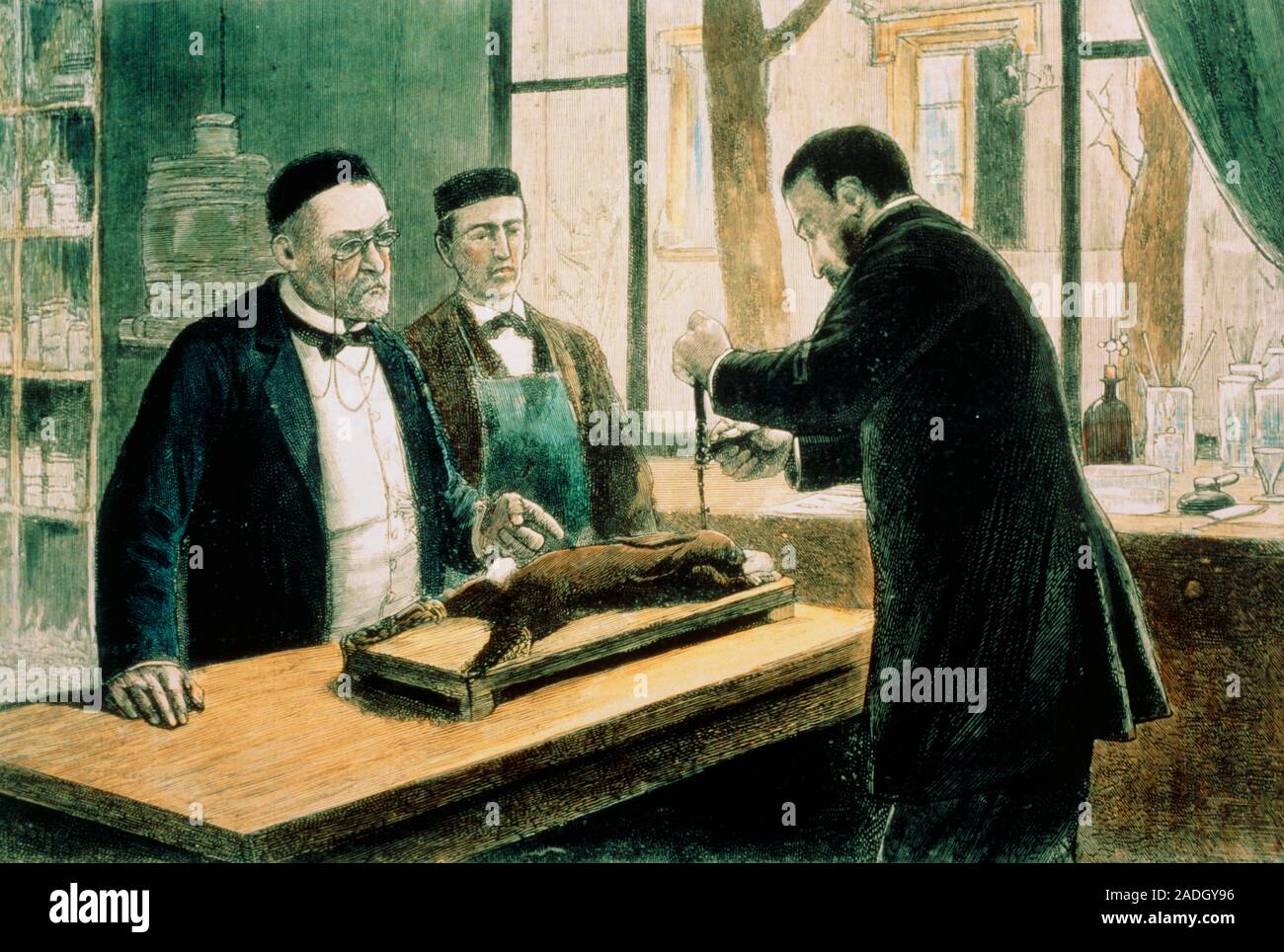 Illustration of the French chemist and microbiologist Louis Pasteur ...