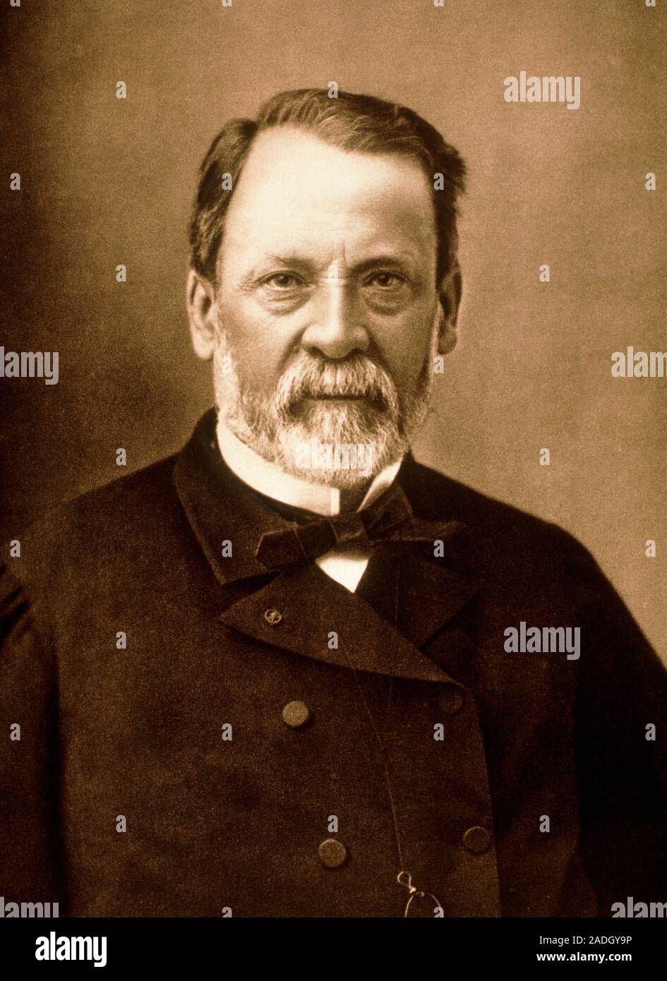 Louis Pasteur. Portrait of the French chemist and microbiologist Louis ...