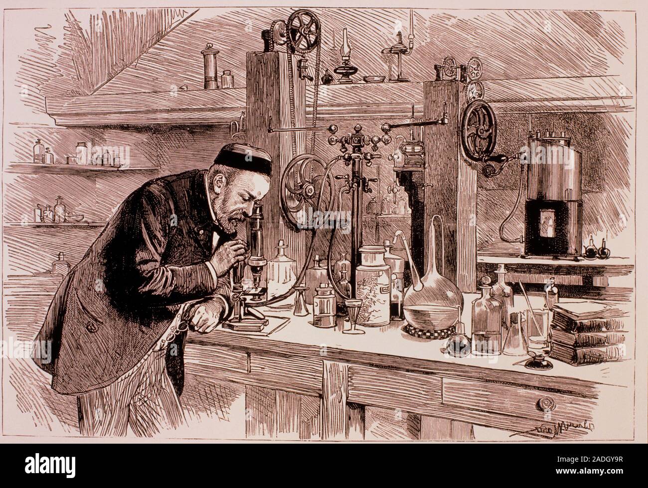 Louis Pasteur. Engraving of the French chemist and microbiologist Louis ...