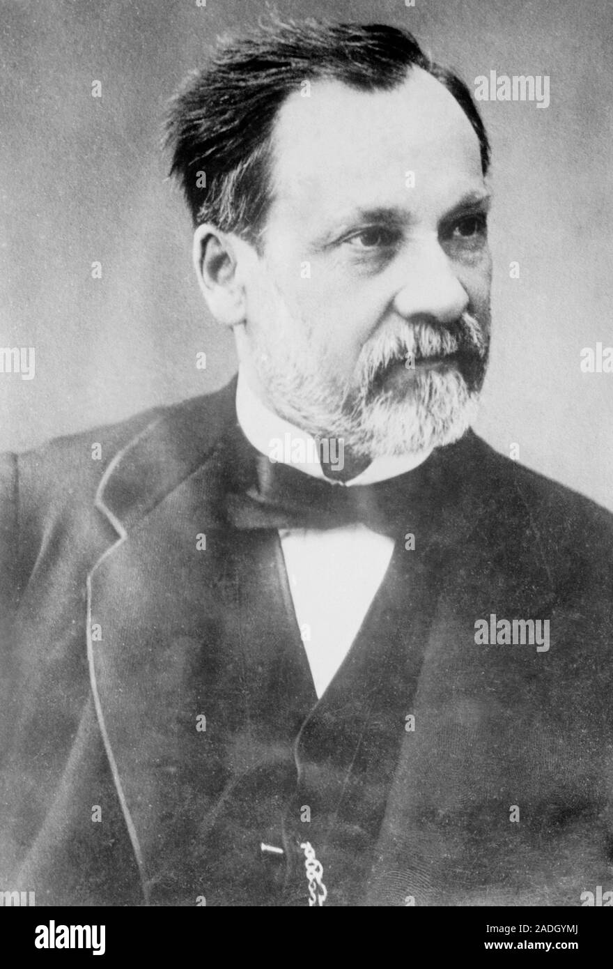 Louis Pasteur (1822-1895), French microbiologist. Pasteur found that ...