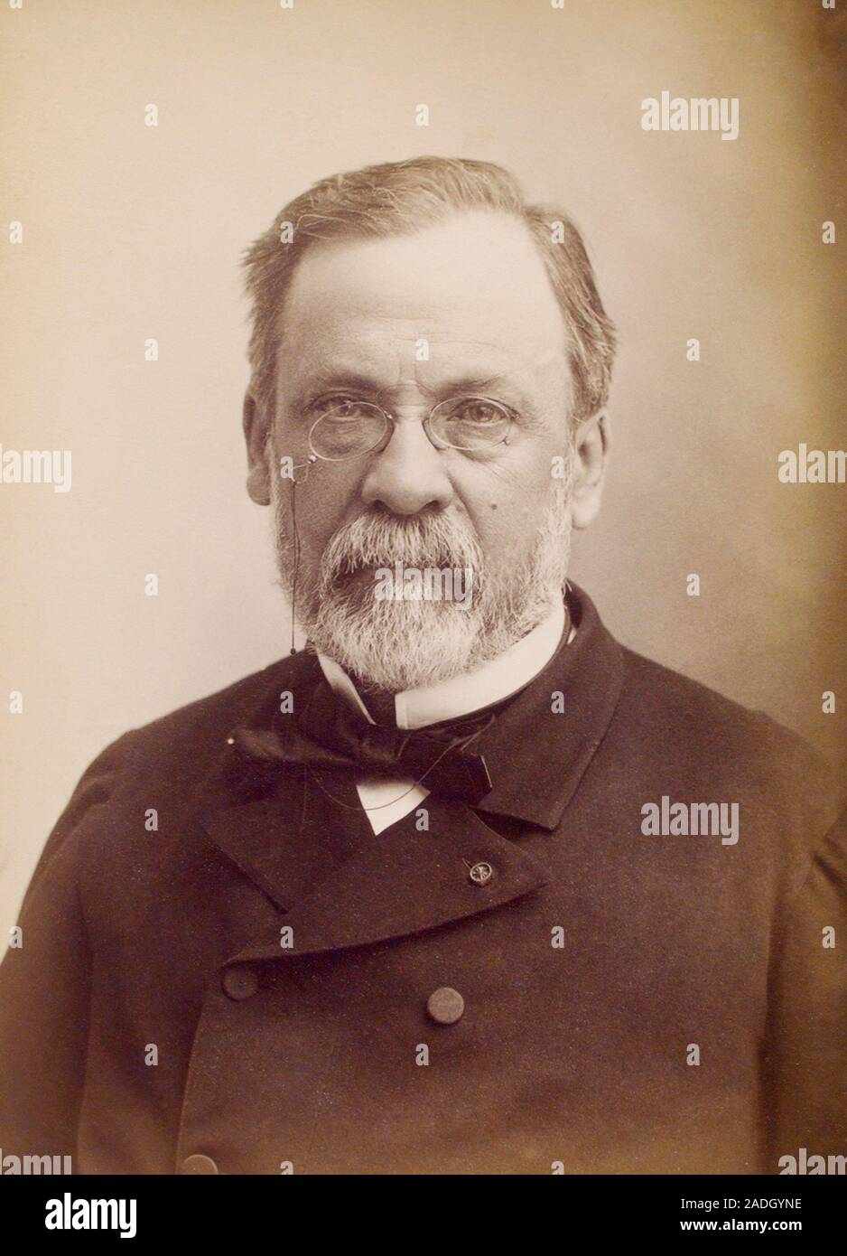 Louis Pasteur (1822-1895), French microbiologist and chemist. Louis ...