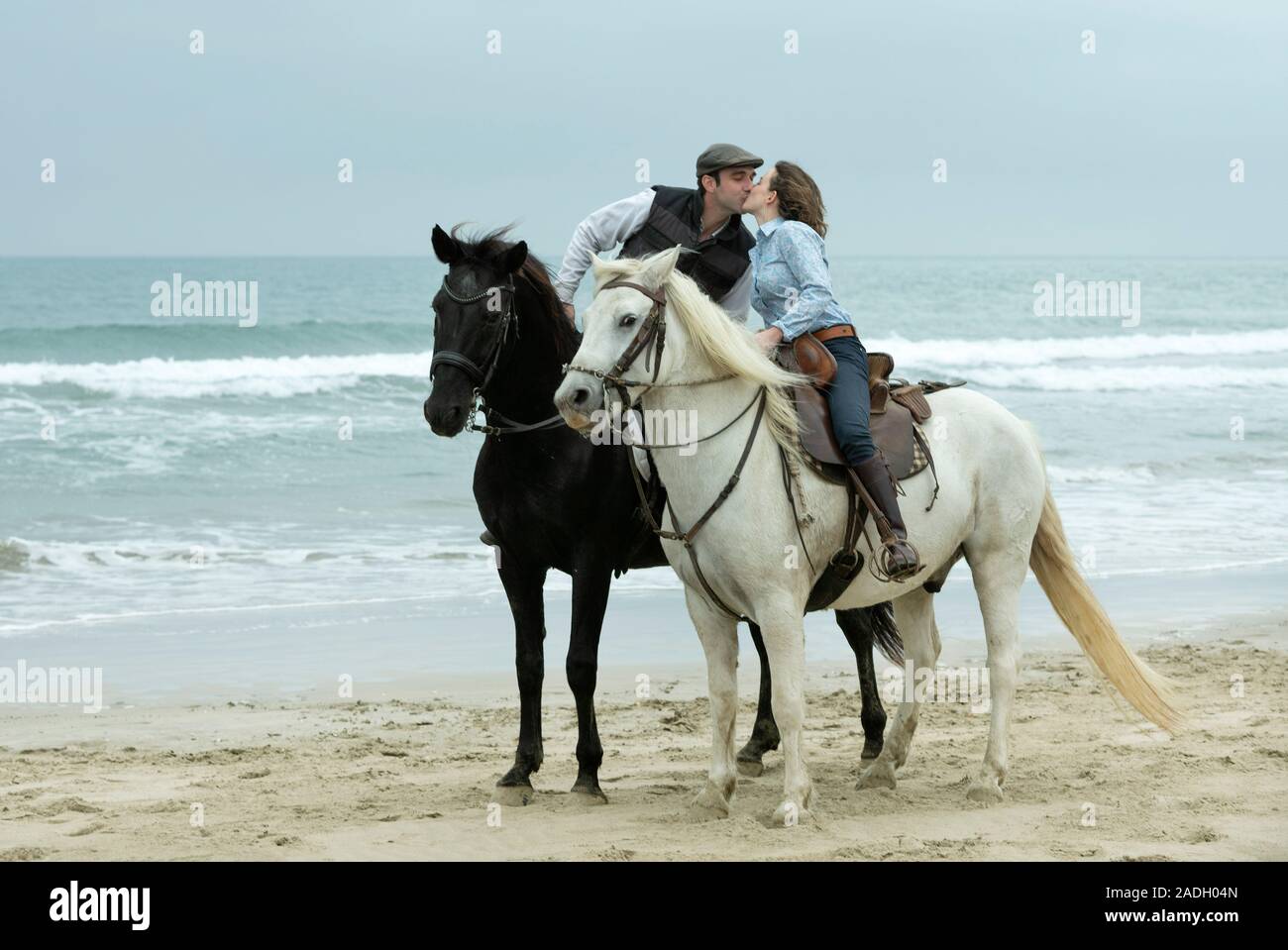 two riders are training their horses on the beach Stock Photo - Alamy