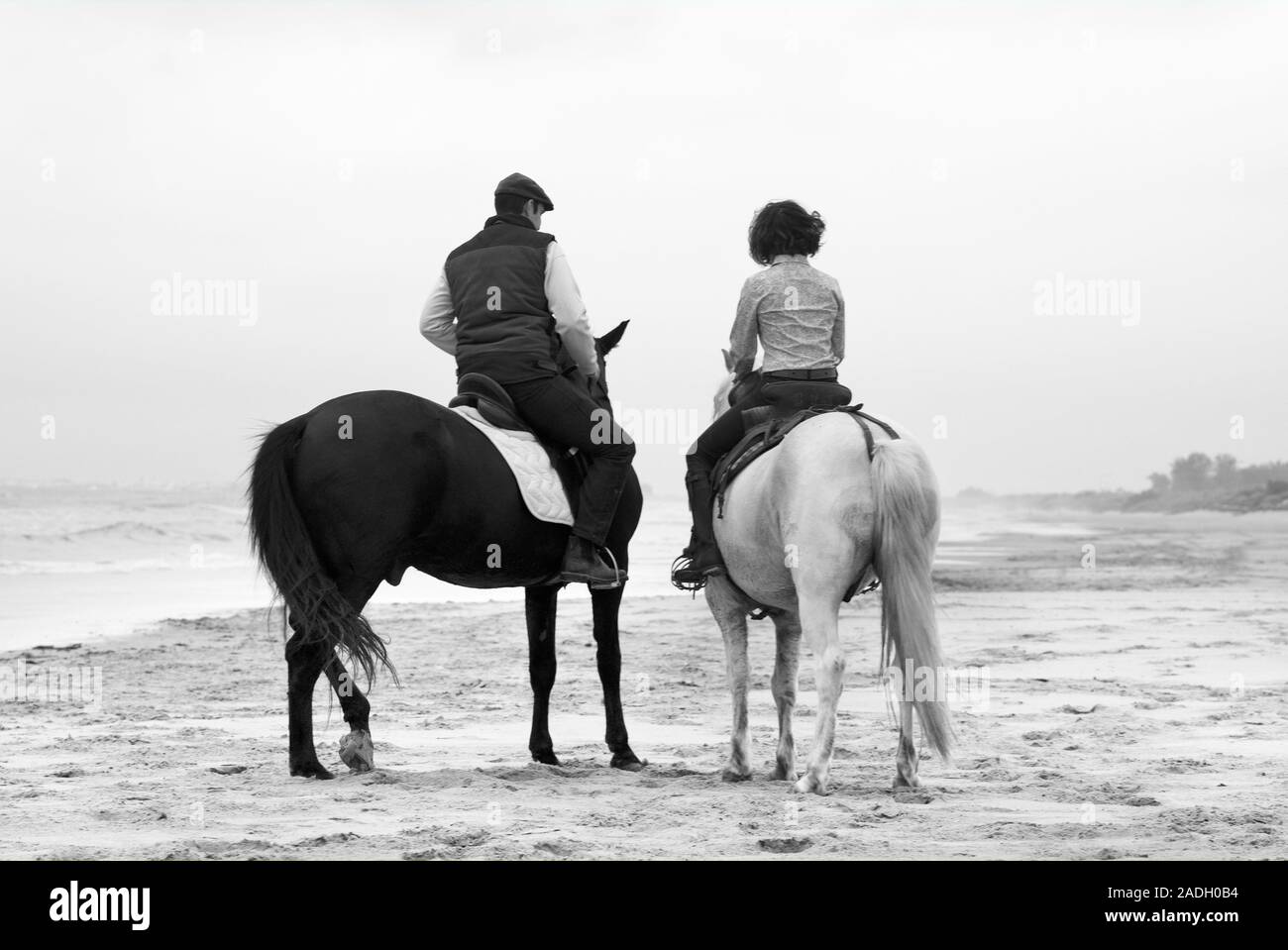 Two camargue horses on the beach hi-res stock photography and images ...