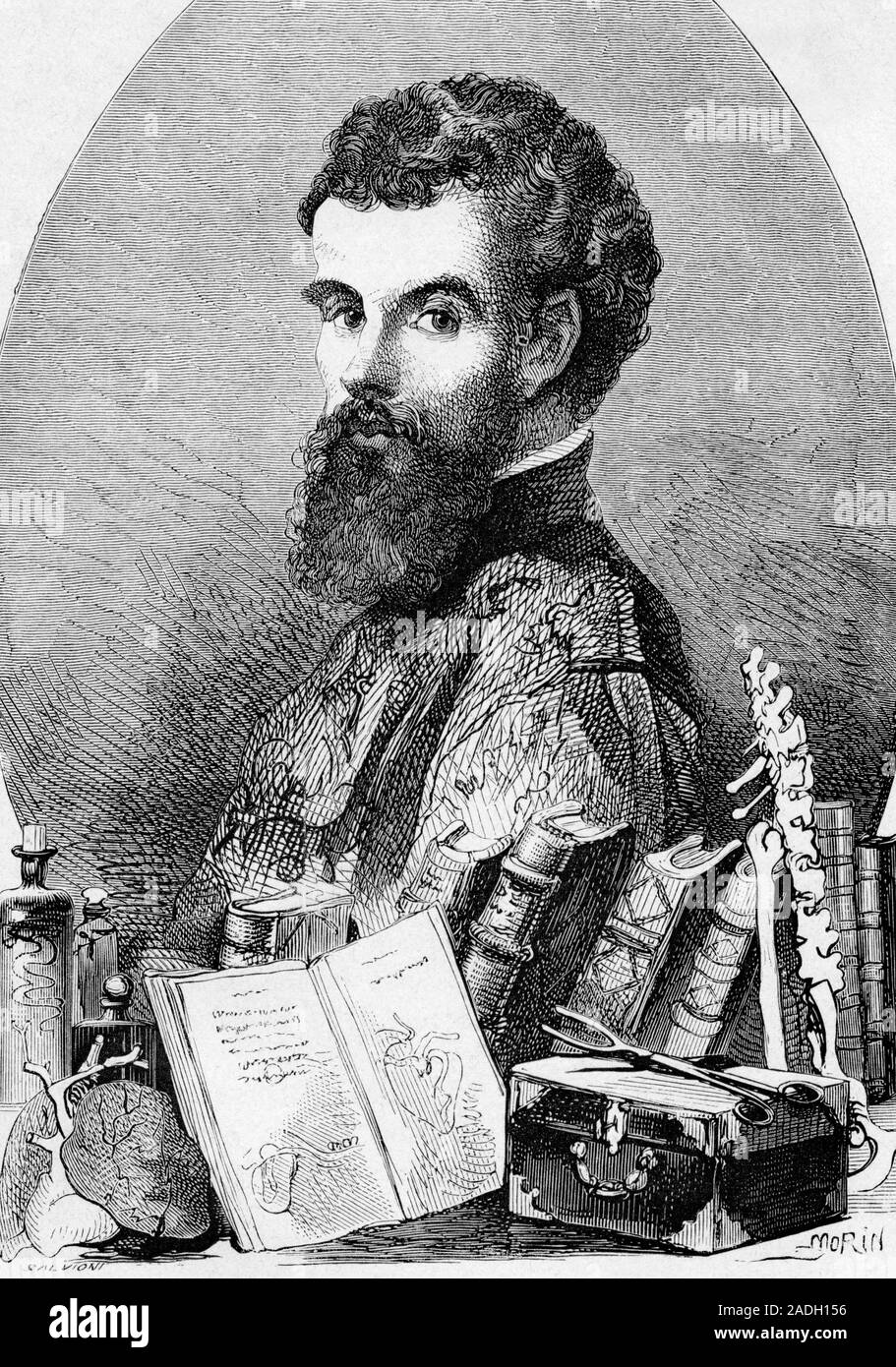 Andreas Vesalius (1514-1564), Belgian anatomist, with anatomical ...