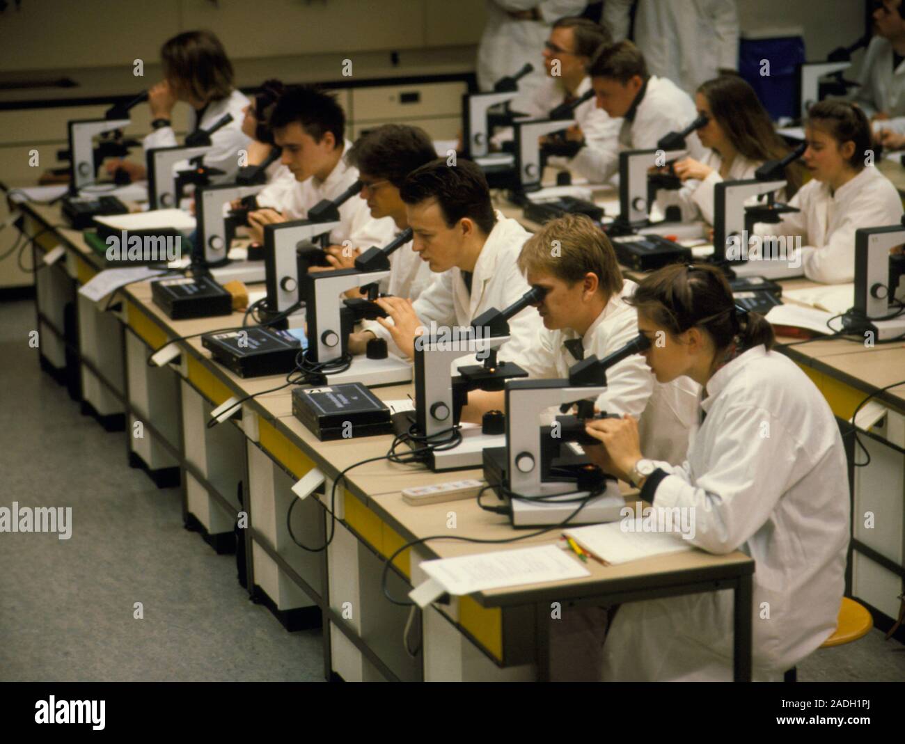 University microbiology. Medical students use microscopes in a ...