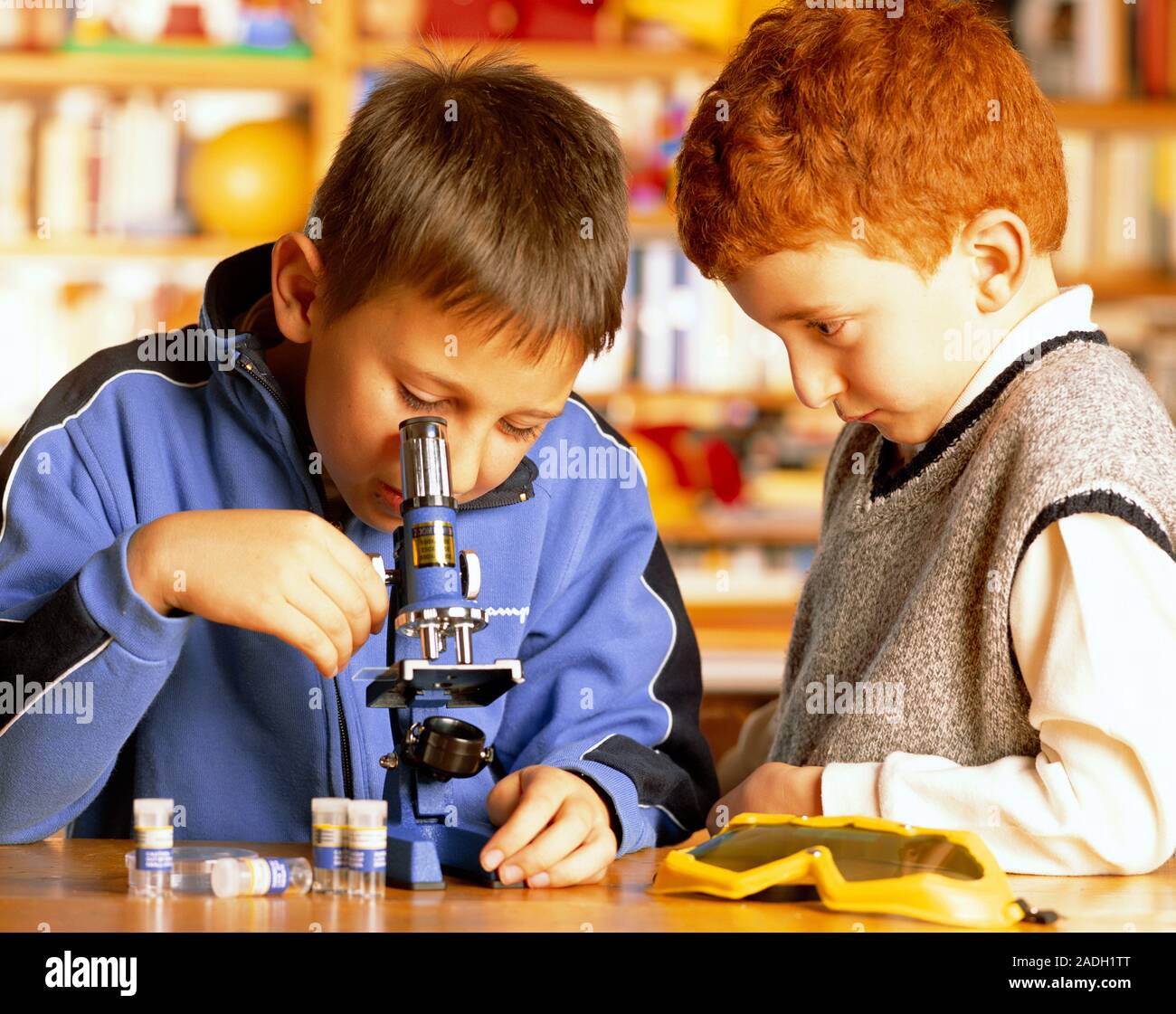 Microscope use. Two young boys using a light microscope to investigate ...