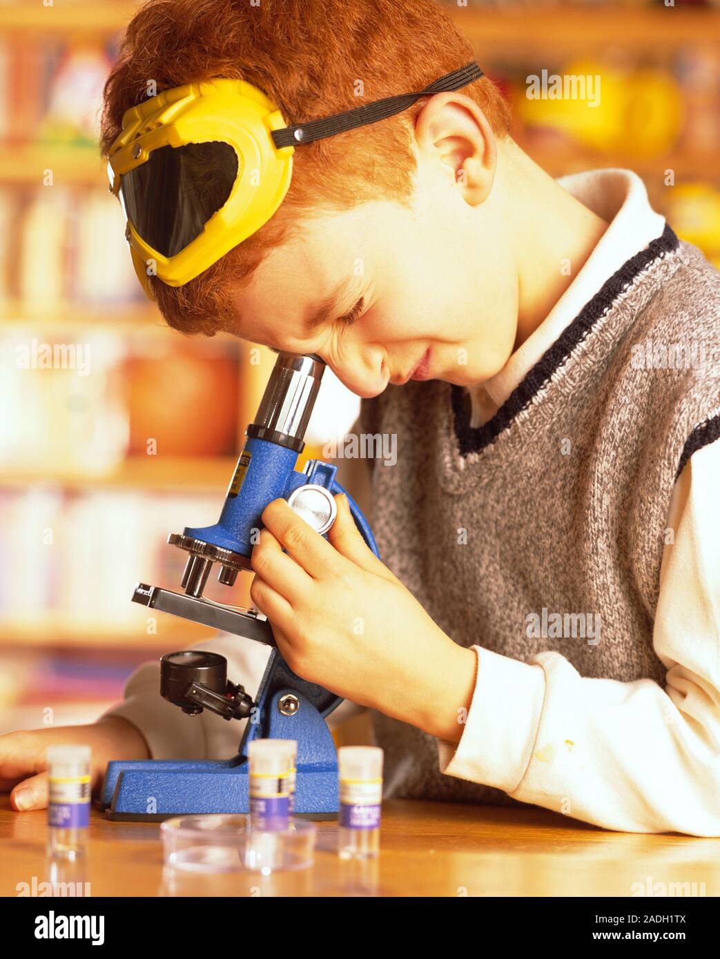 Microscope use. Young boy using a light microscope to investigate ...