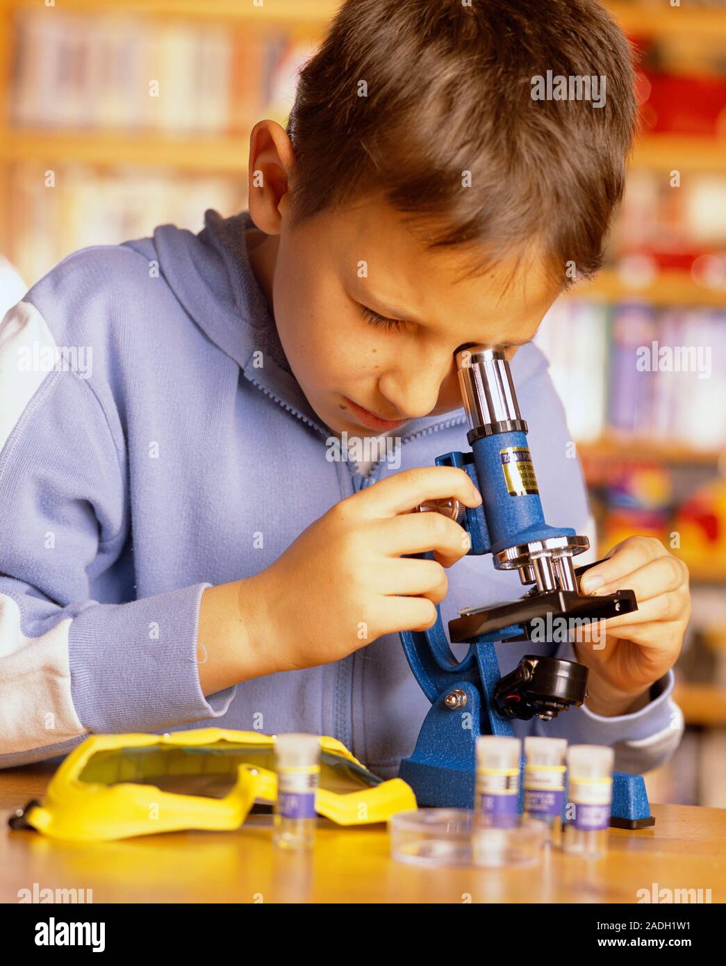 Microscope use. Young boy using a light microscope to investigate ...
