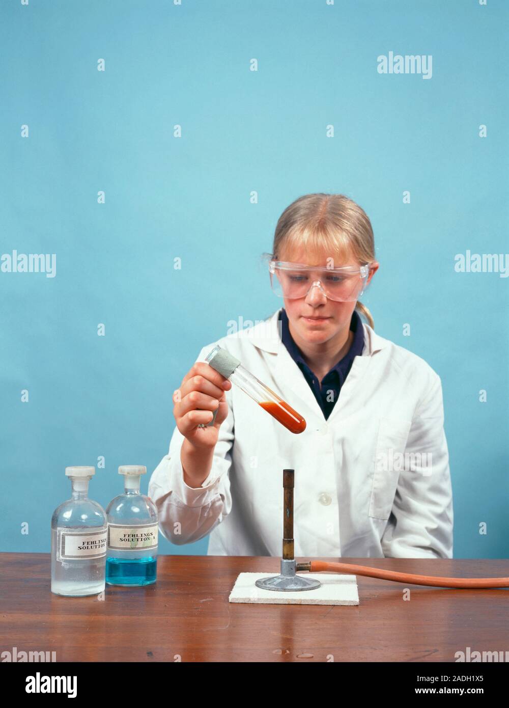 Fehling's test for sugars. Student heating a test tube containing ...