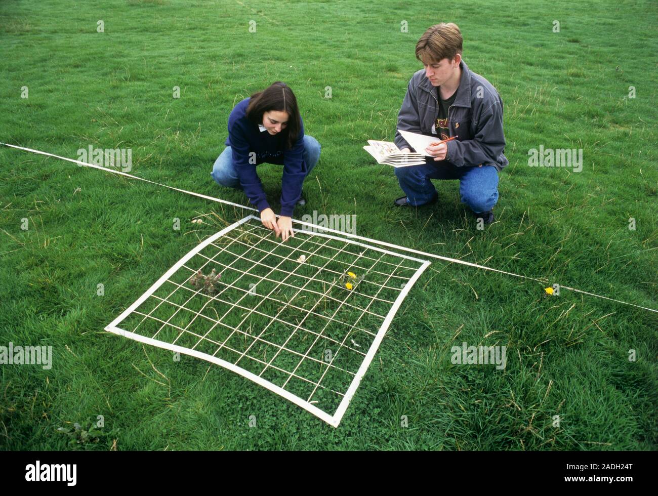 Different transect methods. Students carrying out a survey of the ...