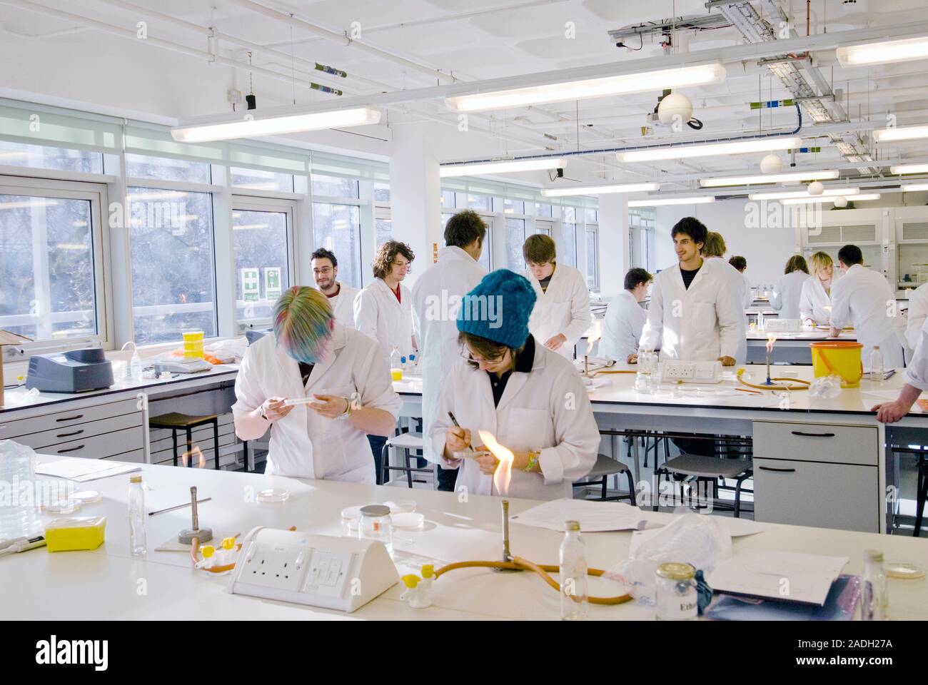 Biology lesson. Students in a biology laboratory preparing microbial ...