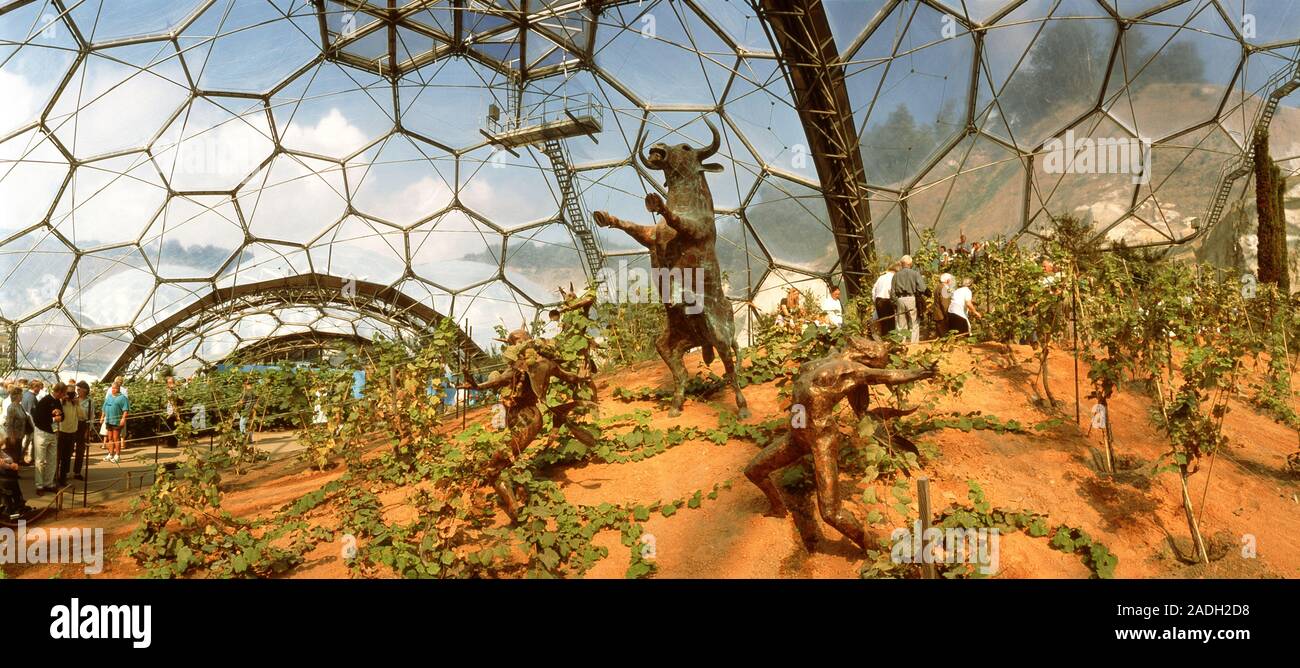 Eden Project. Dionysus sculpture in the warm temperate biome (dome) at ...