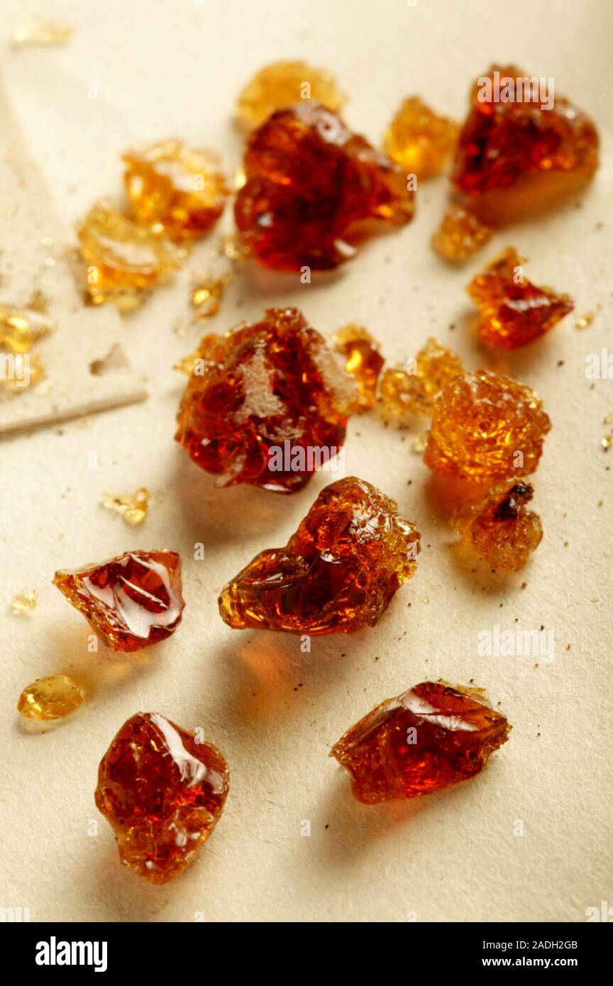 Gum arabic. Samples of gum arabic, a resin taken from two species of ...