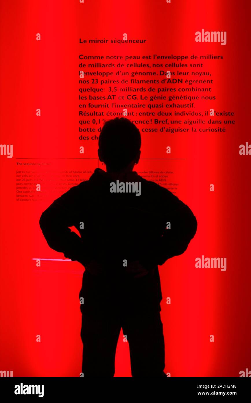 Science exhibition. Boy reading a genetics exhibition panel that ...