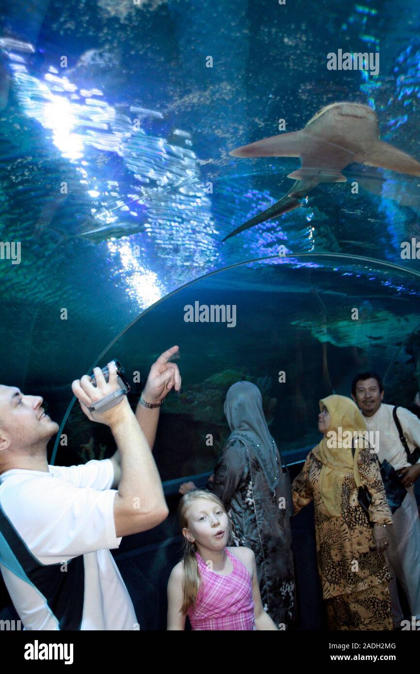 Aquarium. People looking at a fish through a glass tunnel Stock Photo ...