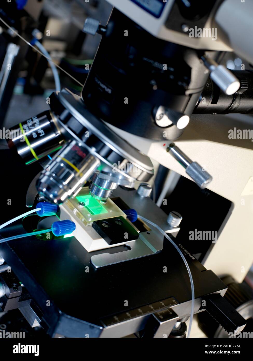 Microfluidics research. Microscope used to study the properties of ...