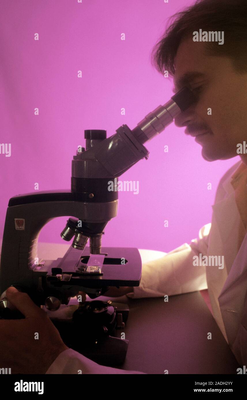 Microscopy. Male researcher looks into the eyepiece of an optical ...