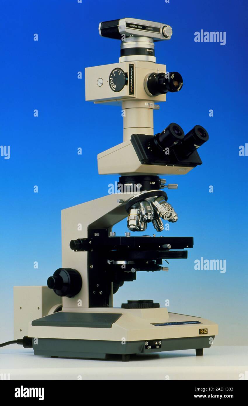 Microscope. An Olympus optical microscope with a camera attached for ...